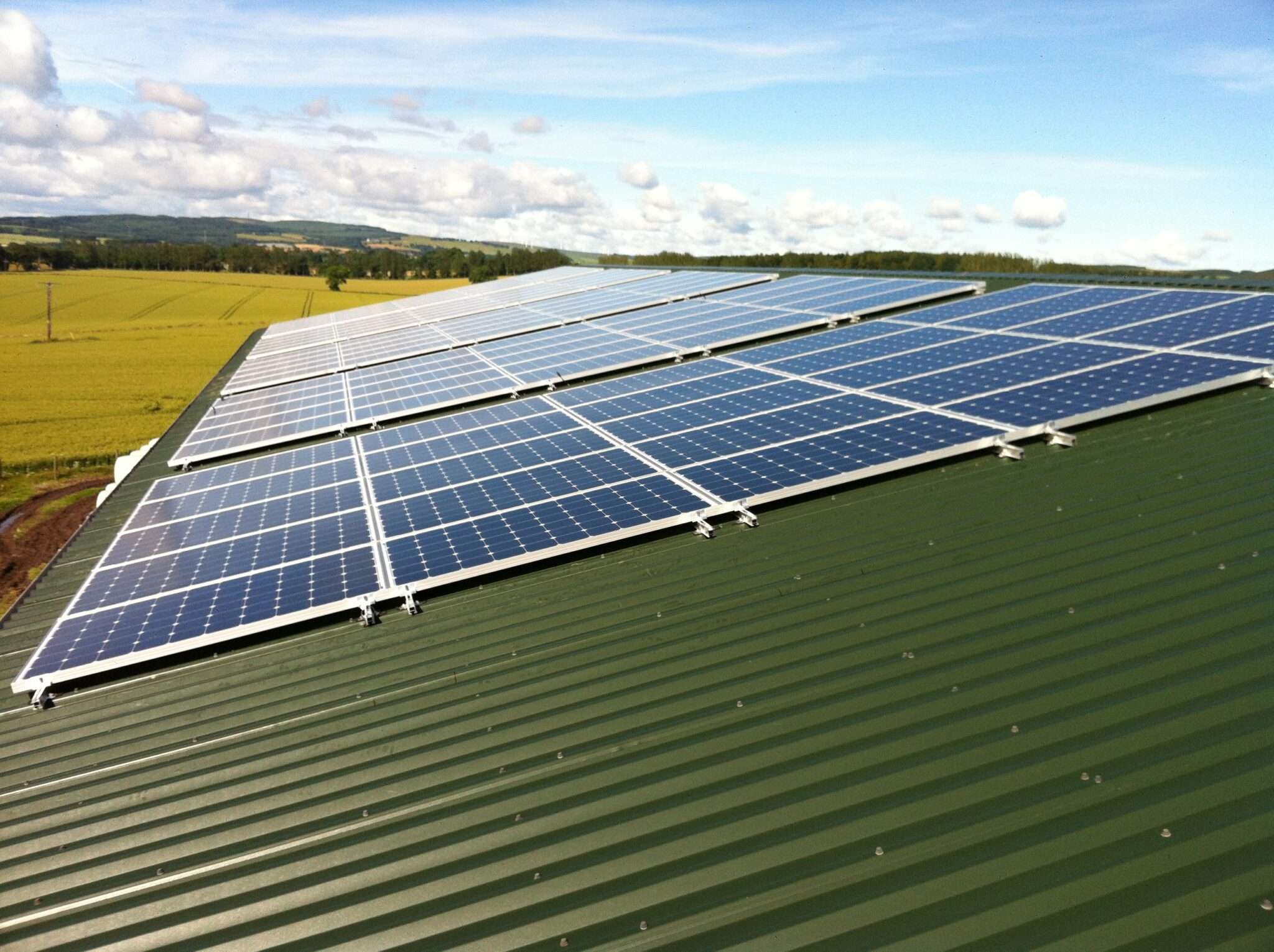 Agricultural Solar Panels: Everything You Need To Know