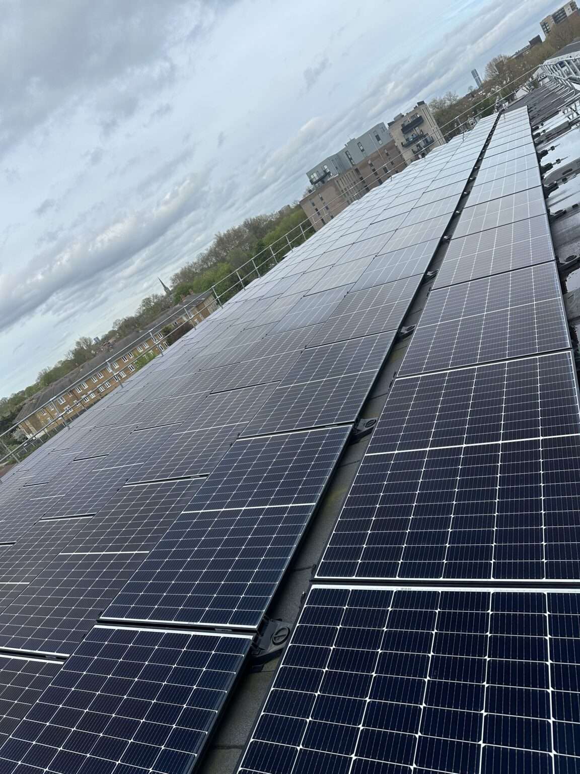 Accelerating Renewable Energy Projects: An Analysis Of The Revised ...